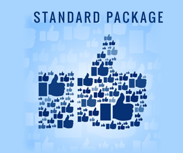 Standard Package - Sibz Solutions