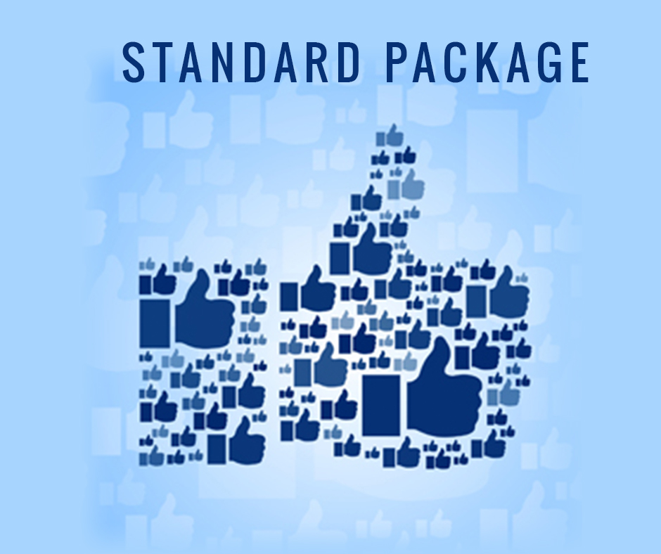 Standard Package - Sibz Solutions